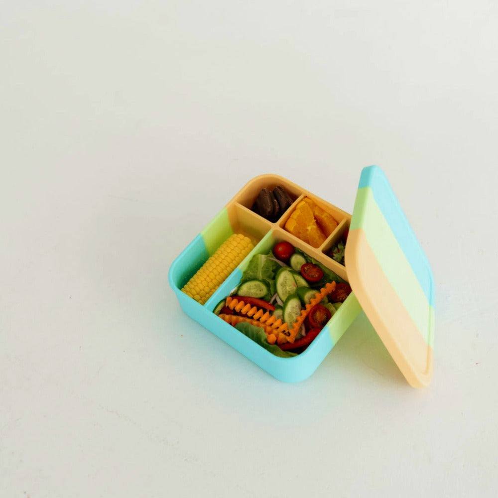 Splice BIG Bento Lunchbox – The Zero Waste People