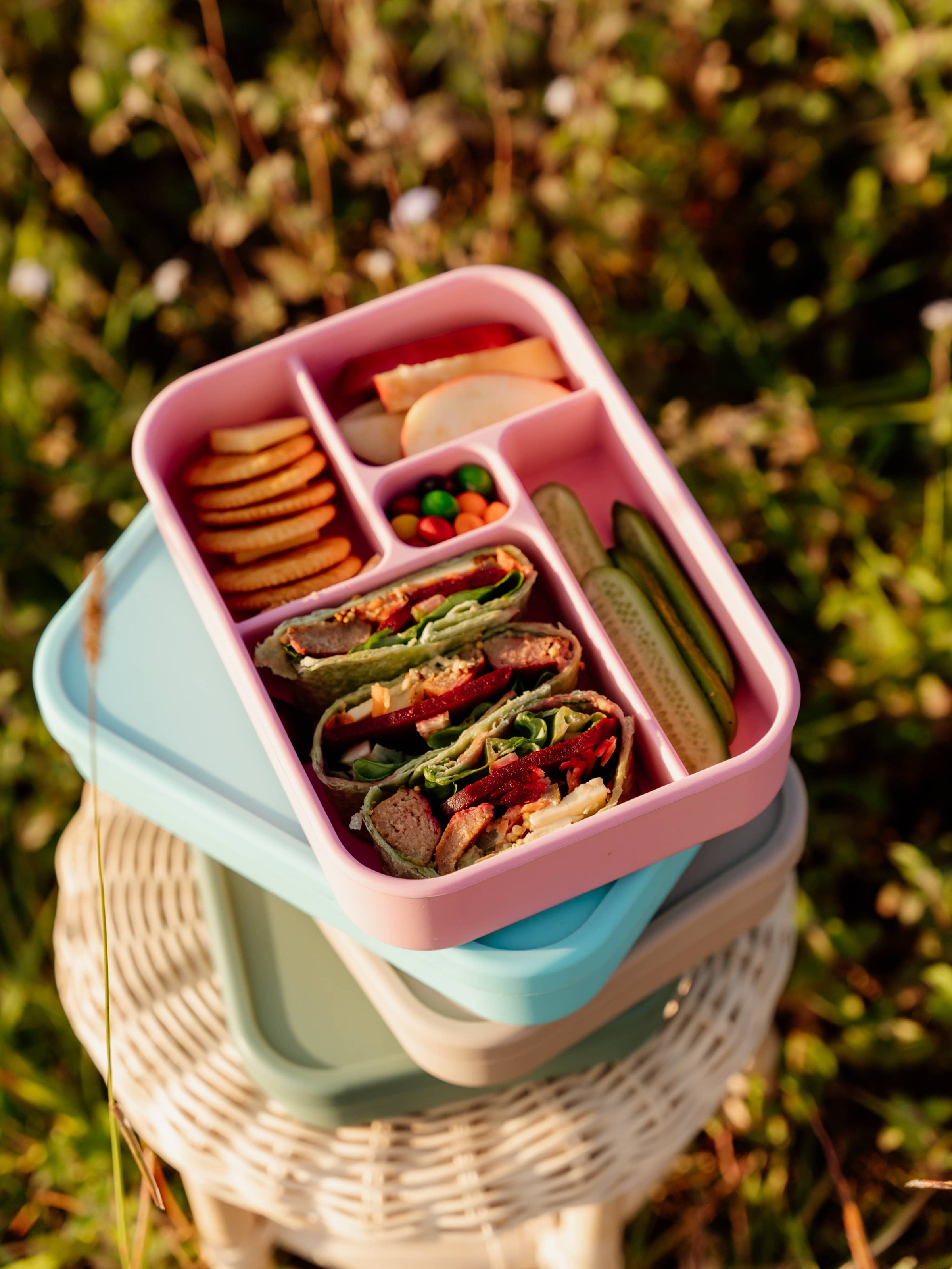 Watermelon Bento Lunchbox