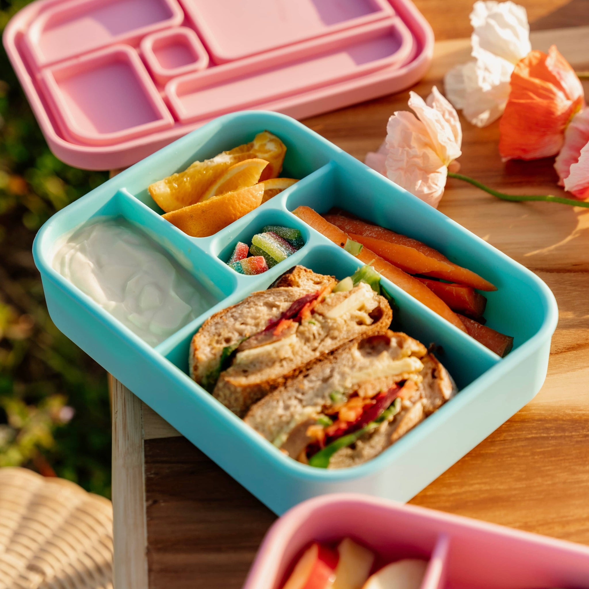 Aqua Bento Lunchbox